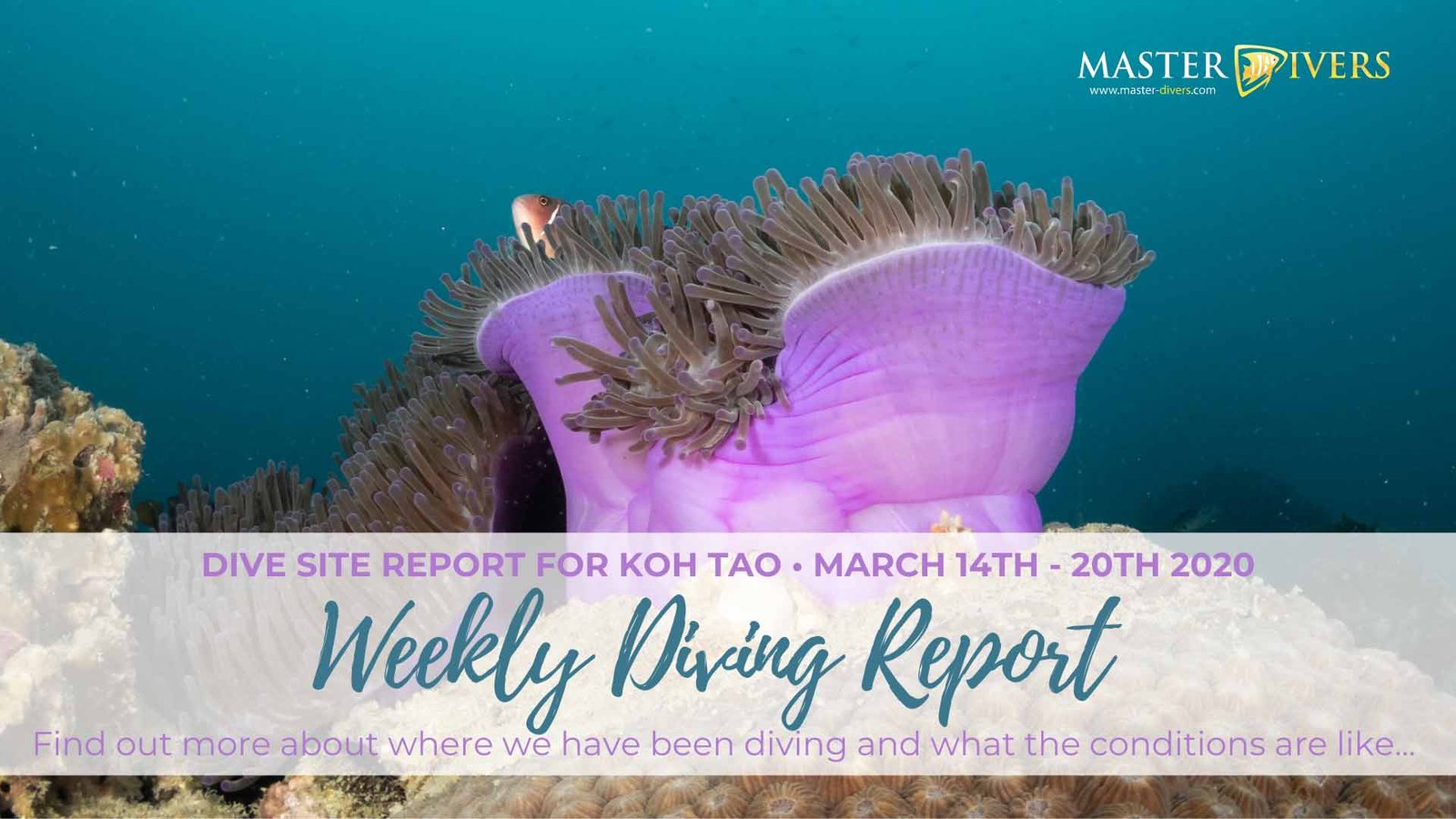 Weekly Diving Report - March 14th - 20th 2020